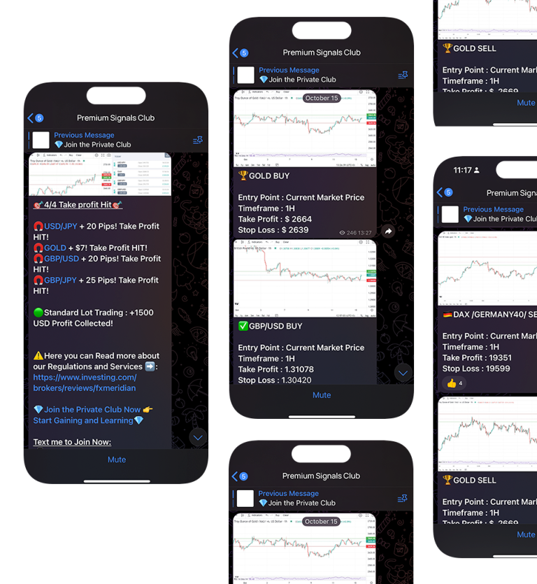 Premium Signals Club